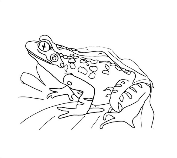 Frog Template - Animal Templates | Free & Premium Templates