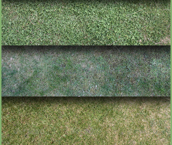 60+ Best Photoshop Grass Textures Free PSD Download