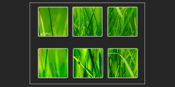 60+ Best Photoshop Grass Textures Free PSD Download