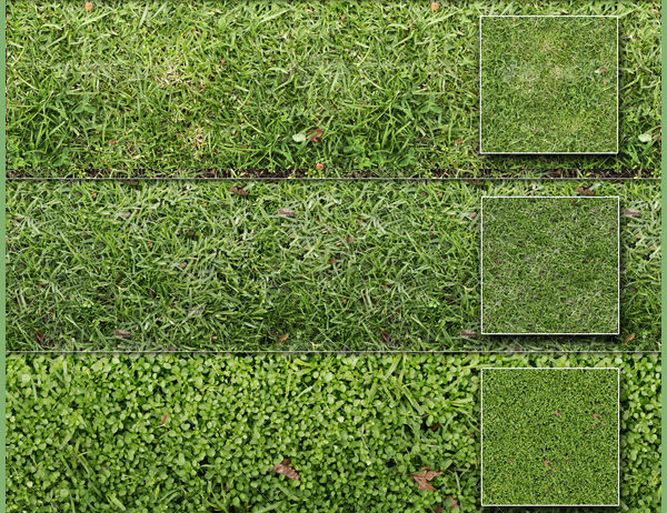 60+ Best Photoshop Grass Textures Free PSD Download