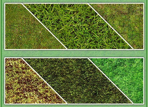60+ Best Photoshop Grass Textures Free PSD Download