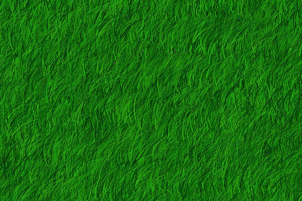 60+ Best Photoshop Grass Textures Free PSD Download