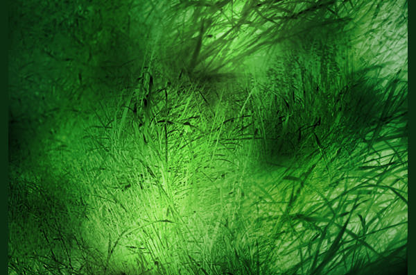 60+ Best Photoshop Grass Textures Free PSD Download