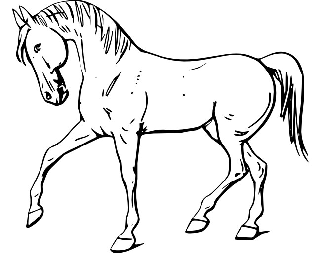 Horse Template - Animal Templates | Free & Premium Templates