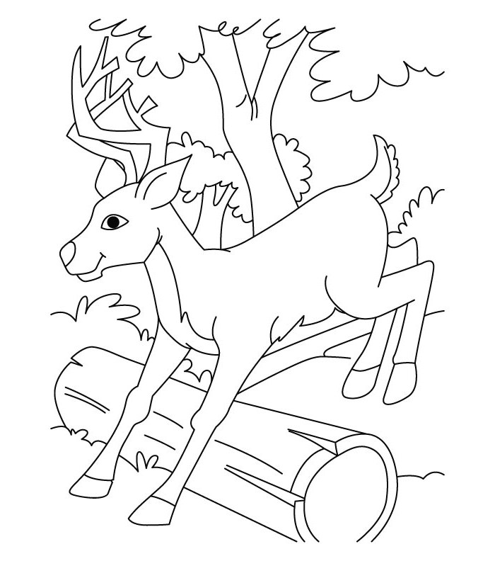 45+ Deer Templates - Animal Templates