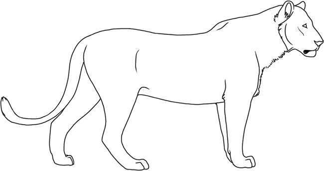 Lion Template - Animal Templates
