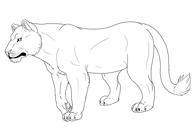 Lion Template - Animal Templates