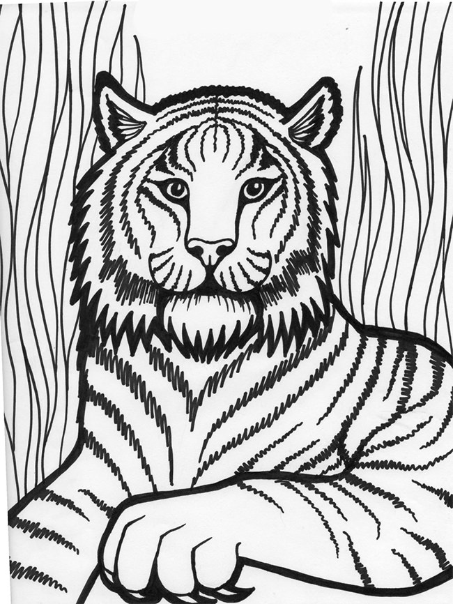 Lion Template - Animal Templates