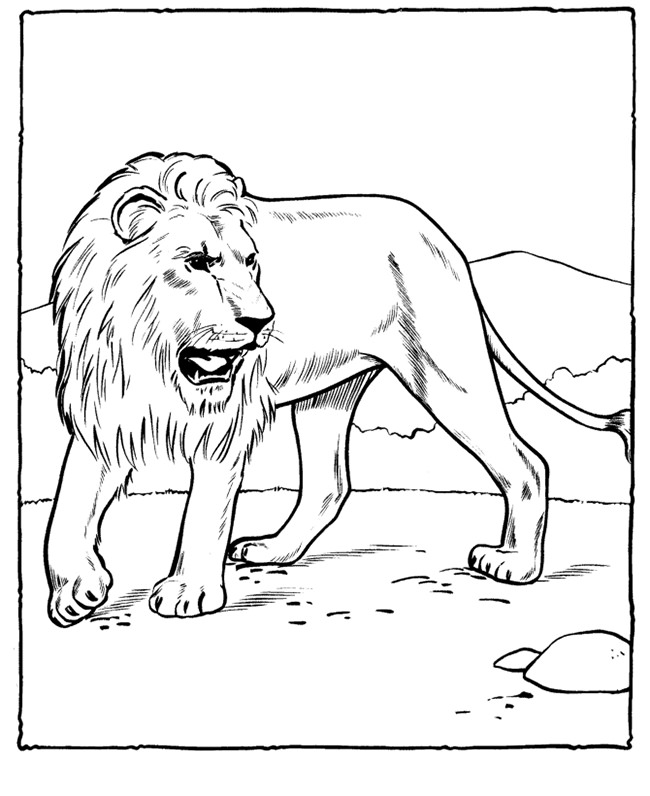 Lion Template - Animal Templates