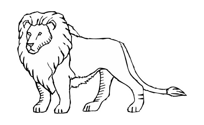 Lion Template - Animal Templates