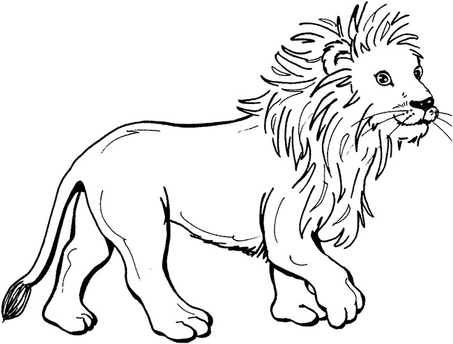 Lion Template - Animal Templates | Free & Premium Templates