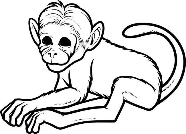 Monkey Template - Animal Templates