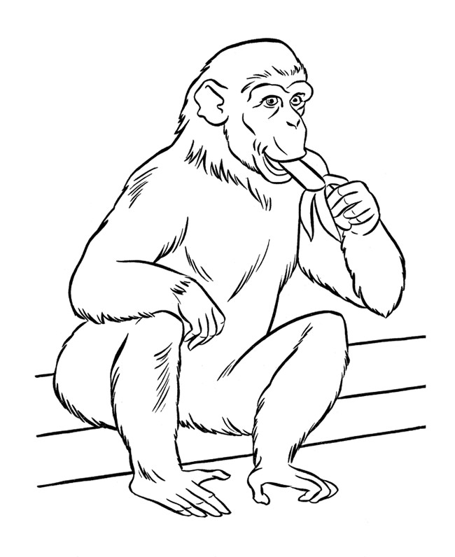 Monkey Template - Animal Templates