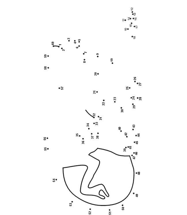 Monkey Template - Animal Templates