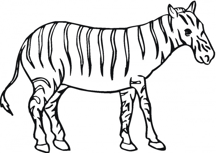 40+ Zebra Templates - Free PSD, Vector EPS, PNG Format Download | Free ...
