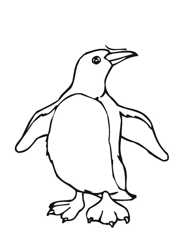 Penguin Template Animal Templates