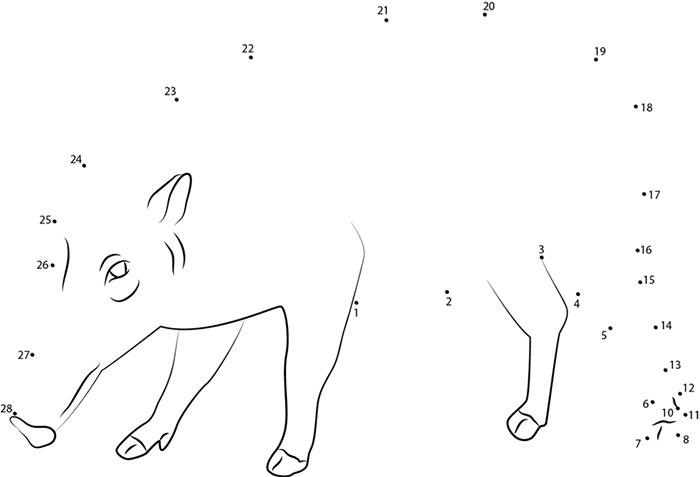 40+ Pig Shape Templates, Crafts And Colouring Pages