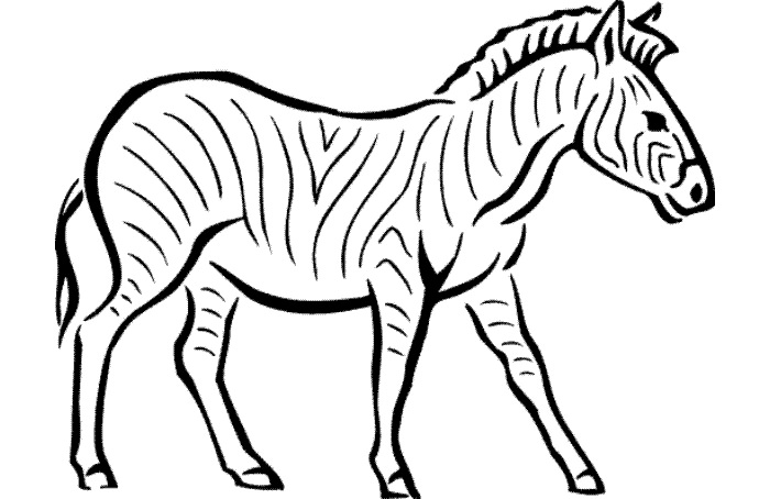 40+ Zebra Templates - Free PSD, Vector EPS, PNG Format Download | Free ...