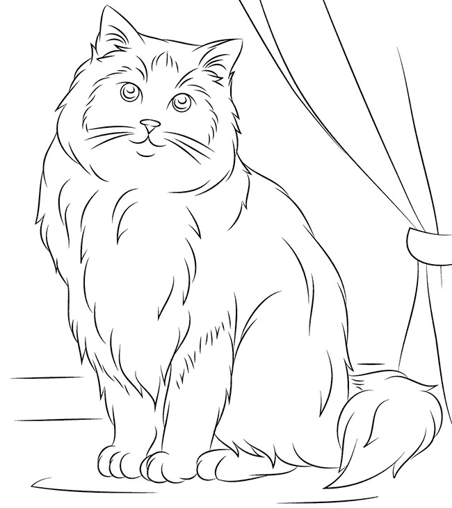 61+ Cat Shape Templates, Crafts And Colouring Pages
