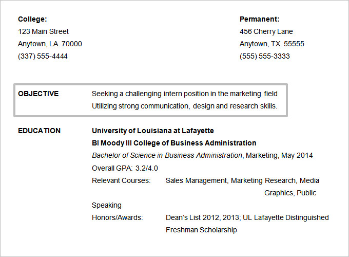 61+ Resume Objectives - PDF, DOC | Free & Premium Templates