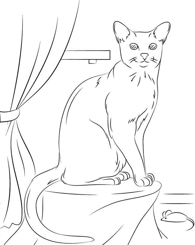 61+ Cat Shape Templates, Crafts And Colouring Pages