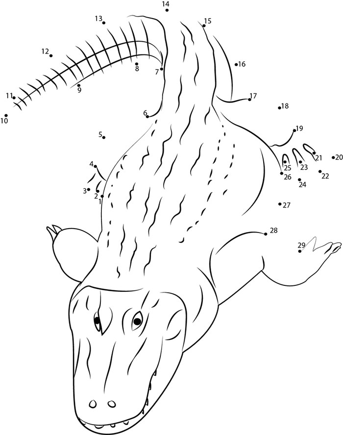 Australian Animal Template - Animal Templates | Free & Premium Templates