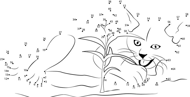 61+ Cat Shape Templates, Crafts And Colouring Pages