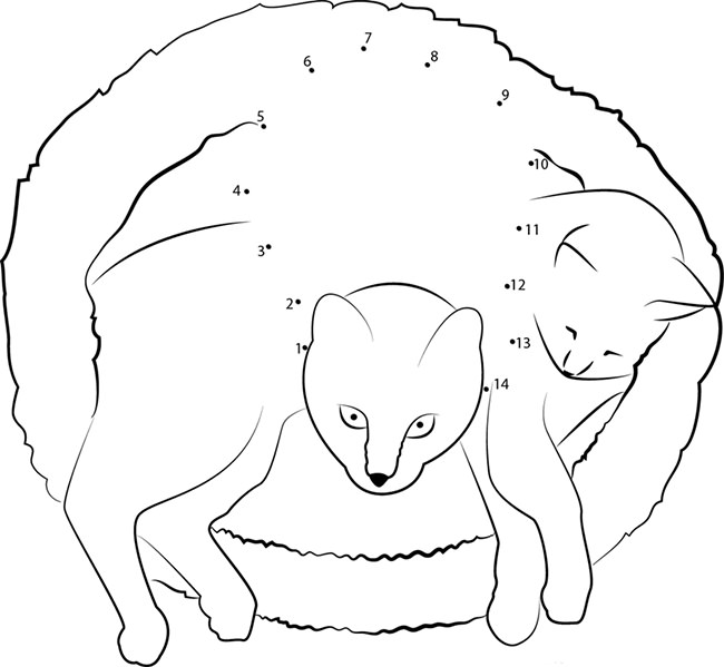 61+ Cat Shape Templates, Crafts And Colouring Pages