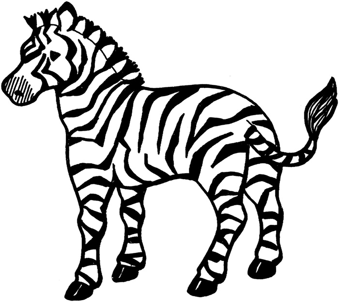 40+ Zebra Templates - Free PSD, Vector EPS, PNG Format Download