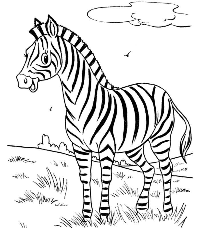 40+ Zebra Templates - Free PSD, Vector EPS, PNG Format Download