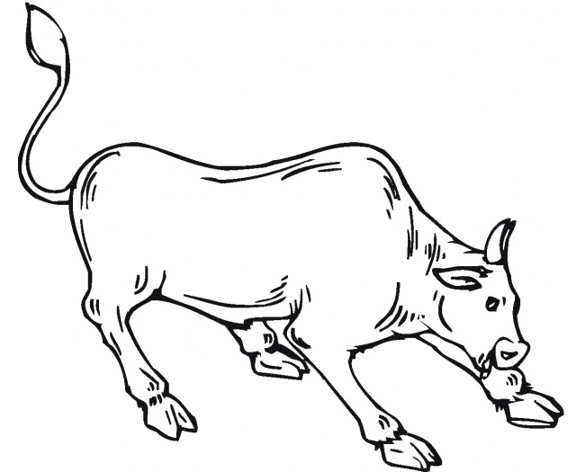 Cow Template - Animal Templates