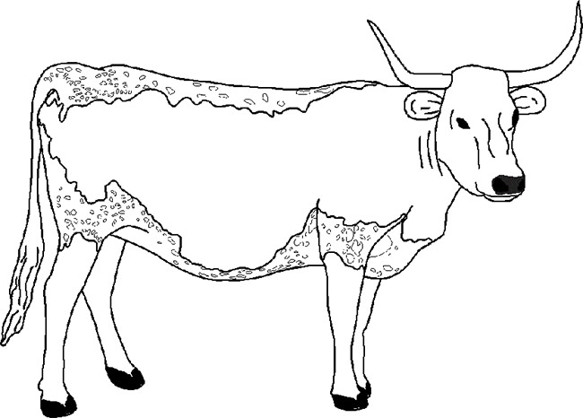Cow Template - Animal Templates