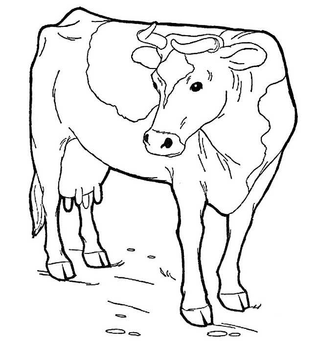 Cow Template - Animal Templates