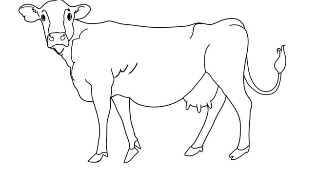 Cow Template - Animal Templates