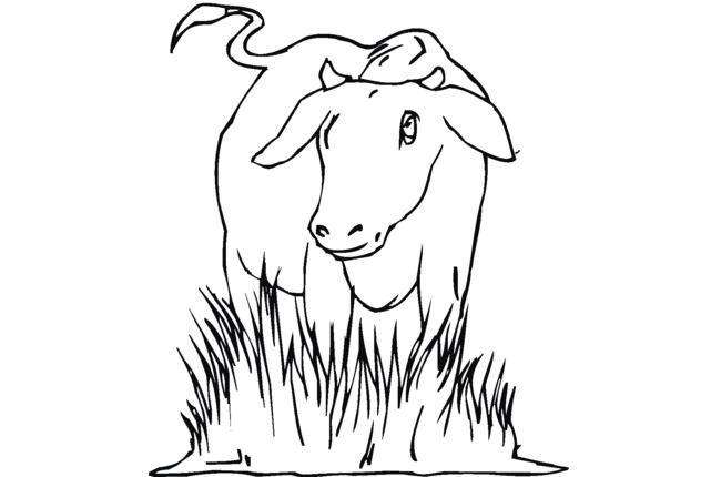 Cow Template - Animal Templates