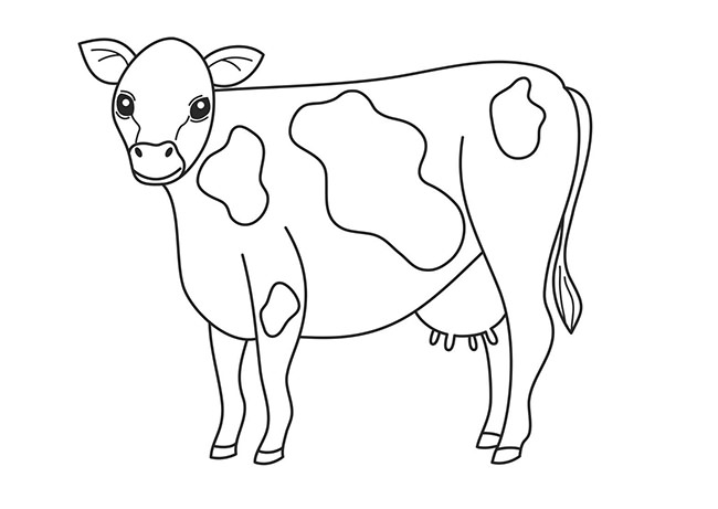 Cow Template - Animal Templates
