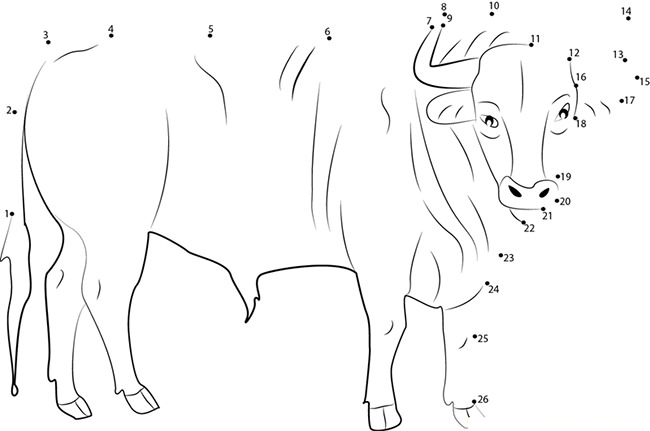 Cow Template - Animal Templates | Free & Premium Templates