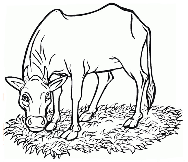 Cow Template - Animal Templates