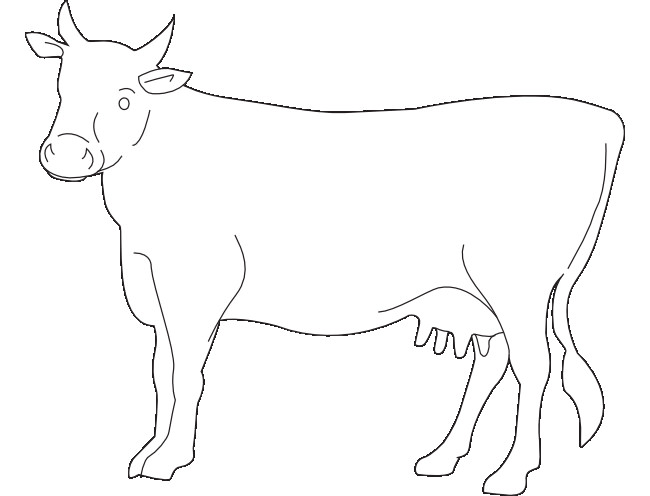 Cow Template - Animal Templates