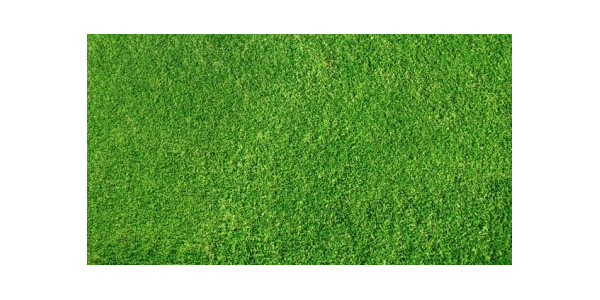 60+ Best Photoshop Grass Textures Free PSD Download | Free & Premium ...