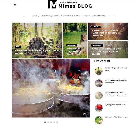 31+ Photography Blog Themes & Templates