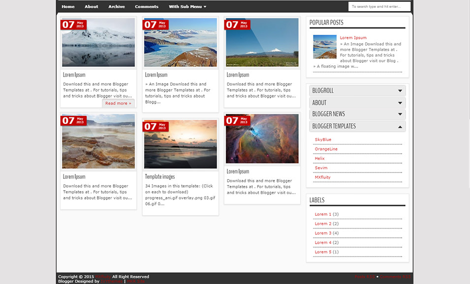 29+ Best Gallery Style Blog Templates & Themes