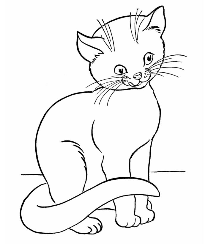83+ Animal Colouring Pages Free Download & Print!