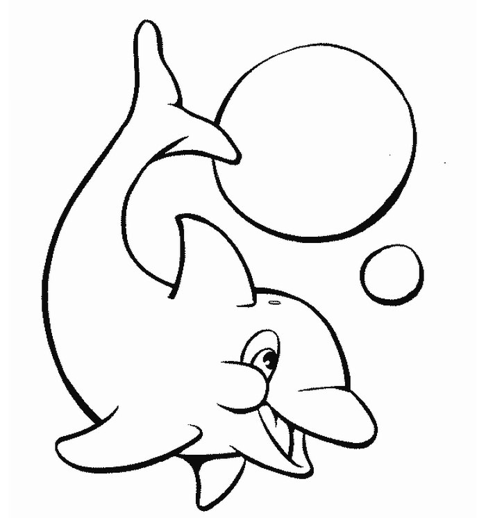 Dolphin Template - Animal Templates