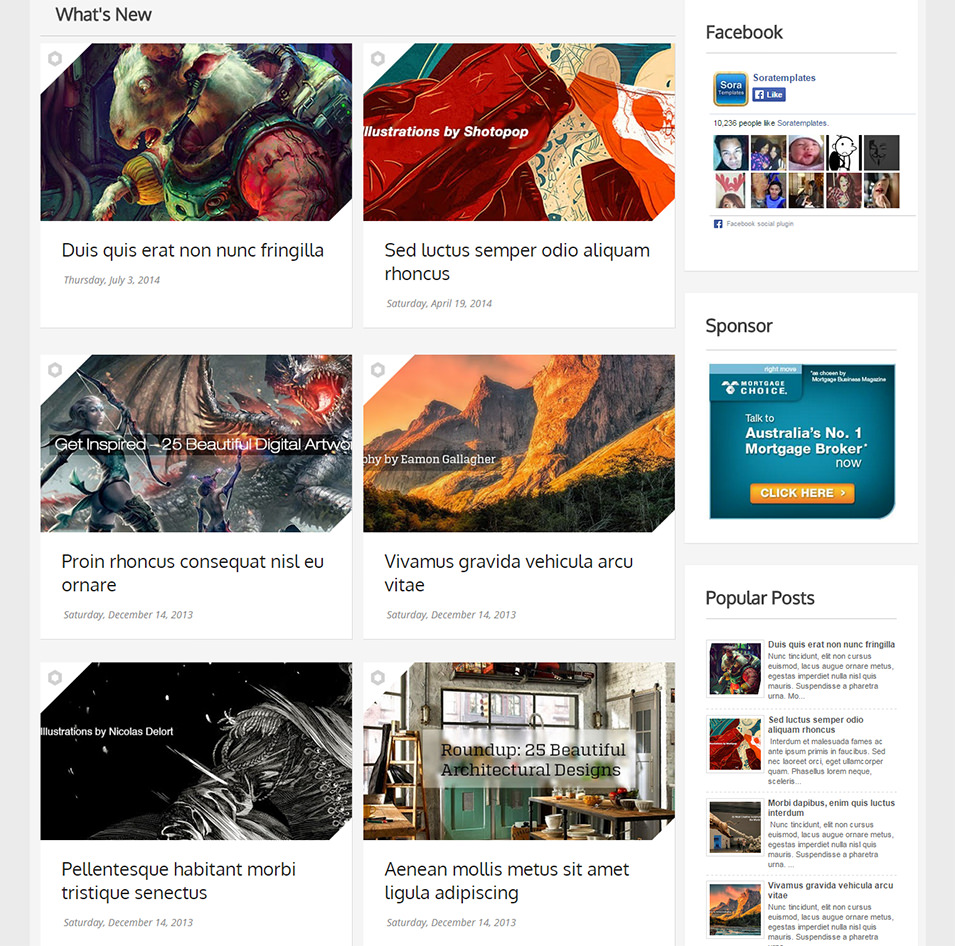 29+ Best Gallery Style Blog Templates & Themes