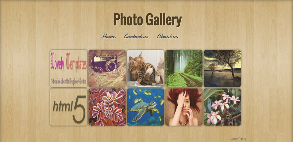 29+ Best Gallery Style Blog Templates & Themes