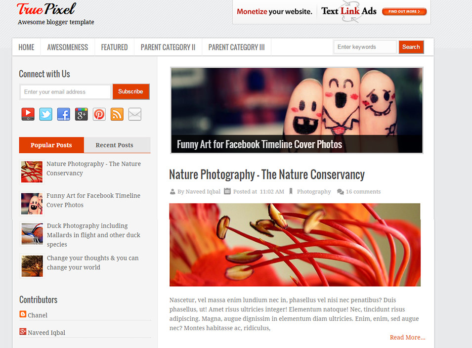 31+ Photography Blog Themes & Templates
