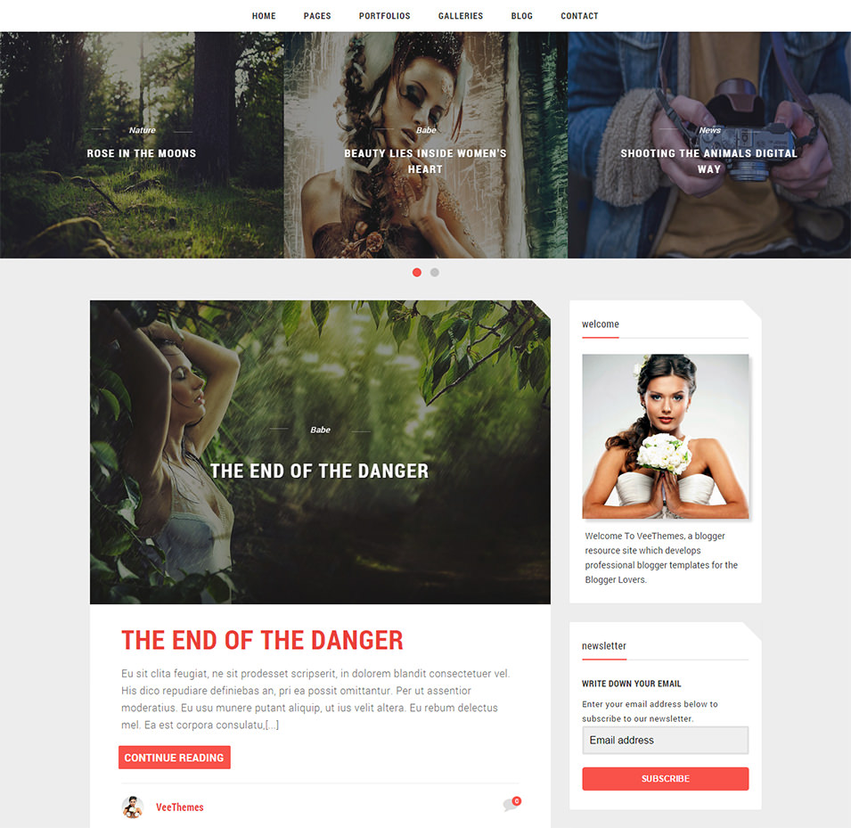 29+ Best Gallery Style Blog Templates & Themes