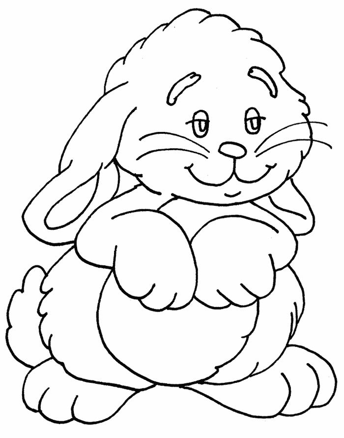 Animal Template - Animal Templates