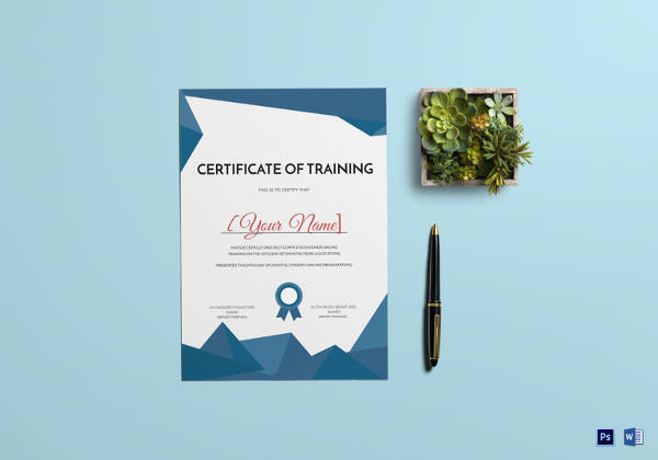 99+ Printable Certificate Template - Examples in PDF, Word, AI